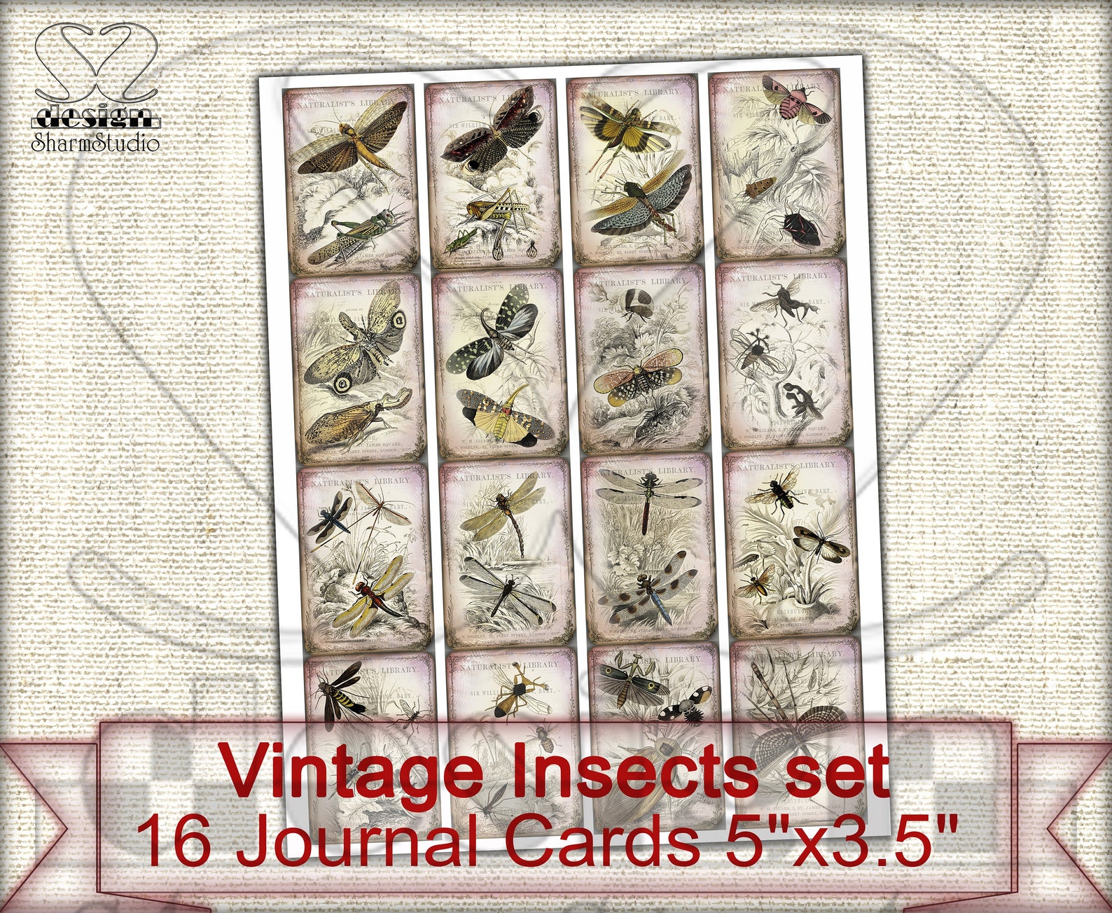Vintage Insects Cards Set Digital Collage Sheet - Etsy