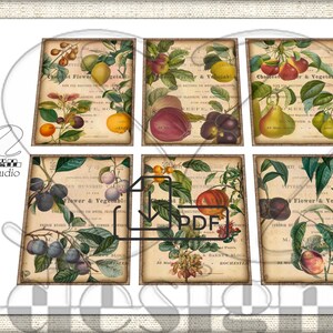 Digital Vintage Fruits Botanical Card Set,collage Sheet Download - Etsy