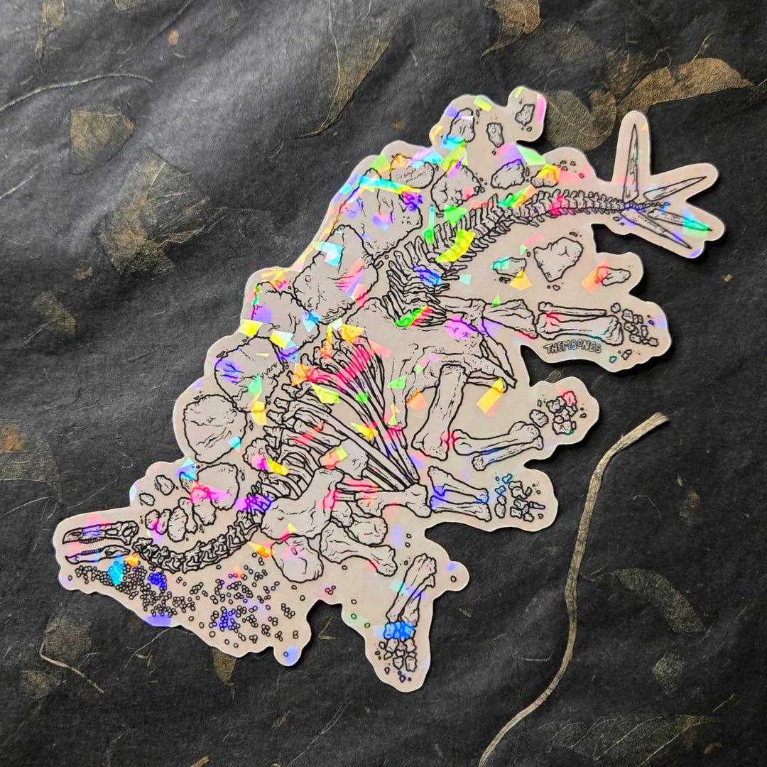 Stegosaurus Full Fossilized Skeleton Clear Holographic Die-cut Vinyl ...