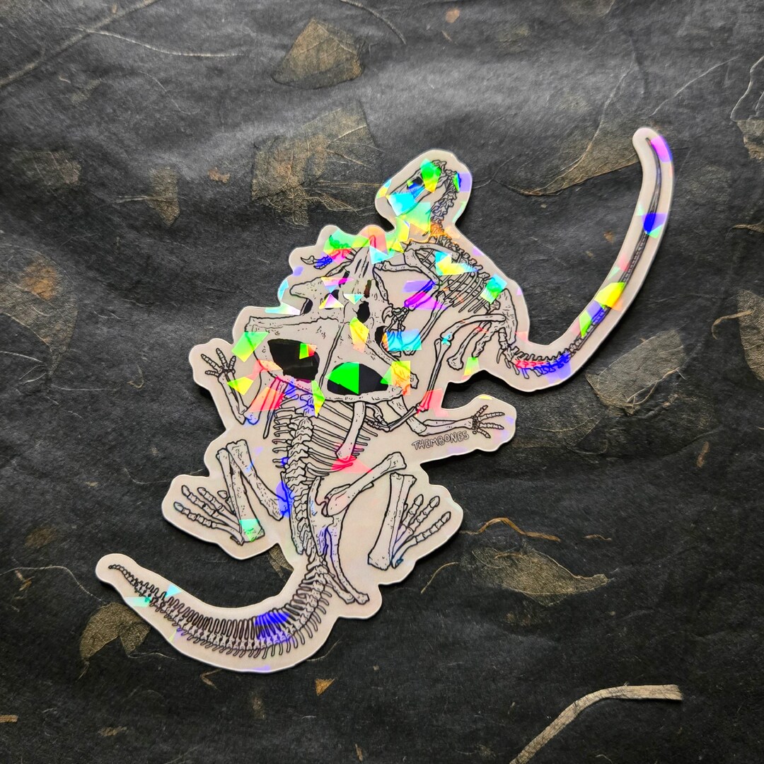 Velociraptor Vs. Protoceratops Fighting Fossilized Skeletons! - Clear Holographic Die-cut Vinyl ...