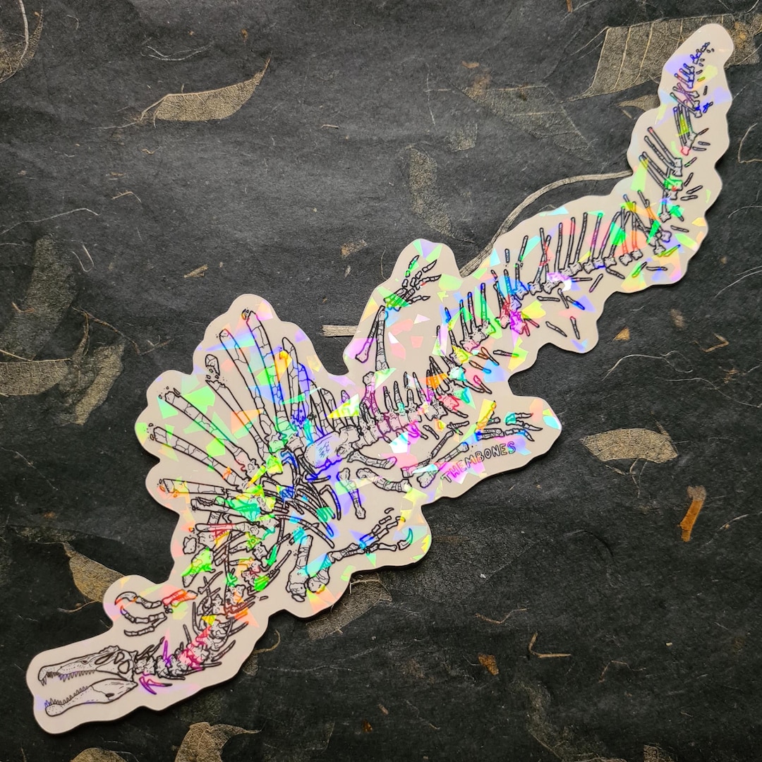 Spinosaurus Full Fossilized Skeleton Clear Holographic Die-cut Vinyl ...