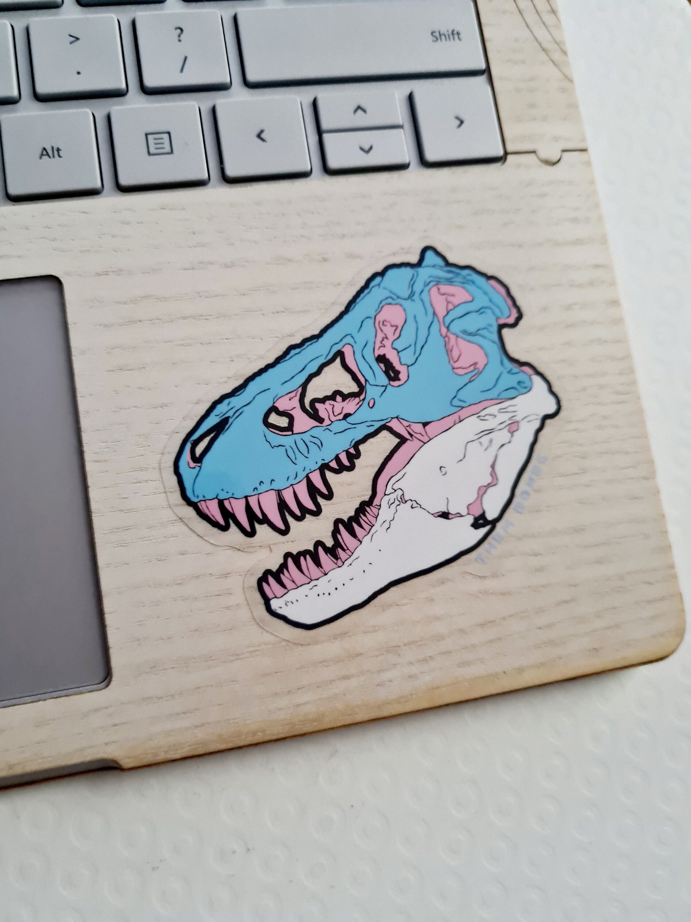 Trans-osaurus Rex Pride Sticker Tyrannosaurus Rex Skull | Etsy