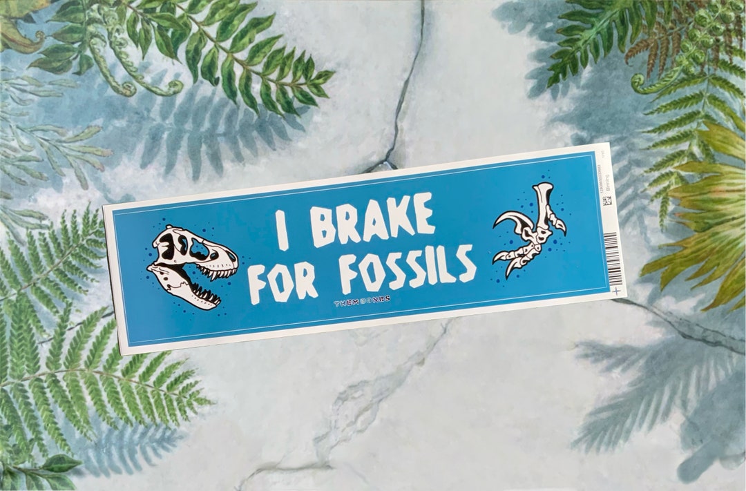 Dinosaur Bumper Sticker I Brake for Fossils High - Etsy