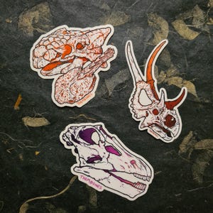Herbivore Dinosaur Skull Stickers: Clear Vinyl Decals - Etsy