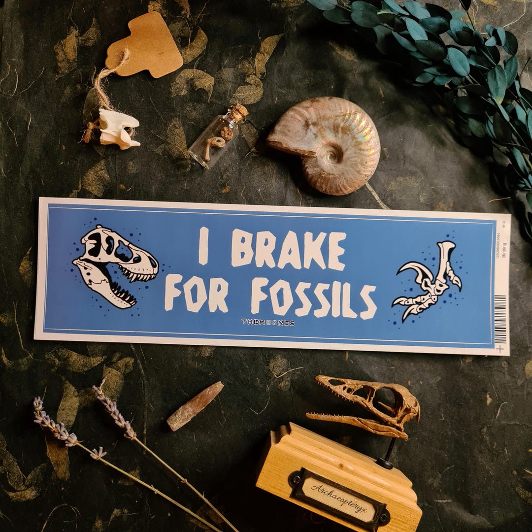 Dinosaur Bumper Sticker: 'I Brake for Fossils' - Weather Resistant ...