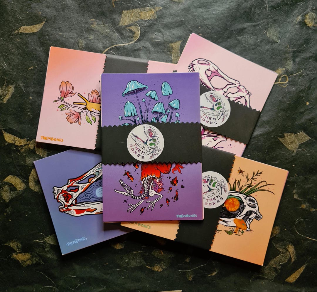 5 Pack of Postcards - Miniprints & Postcards - A6 - 4”x6" - Etsy