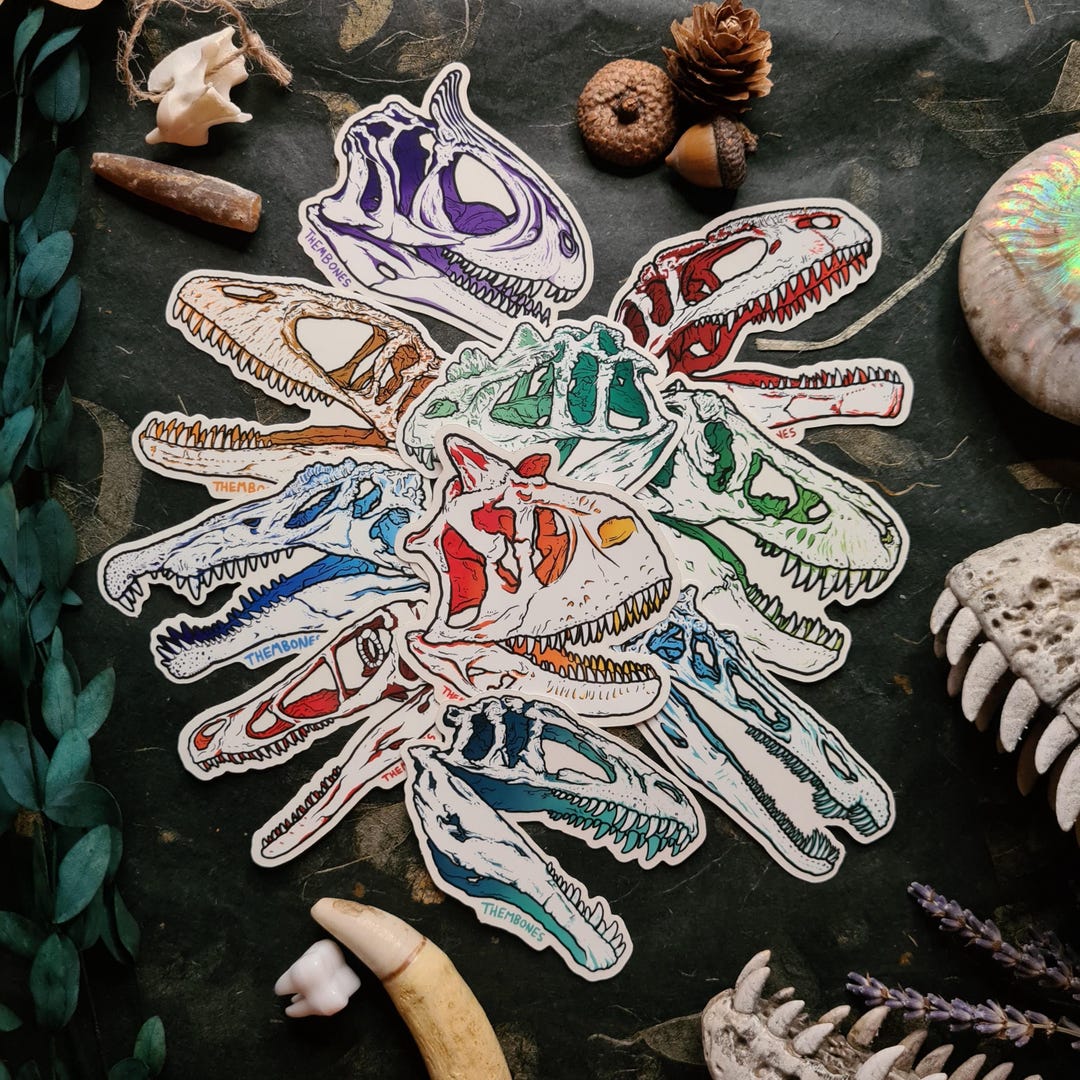 Dinosaur Skulls - Carnivores - High Quality Clear Vinyl Stickers ...