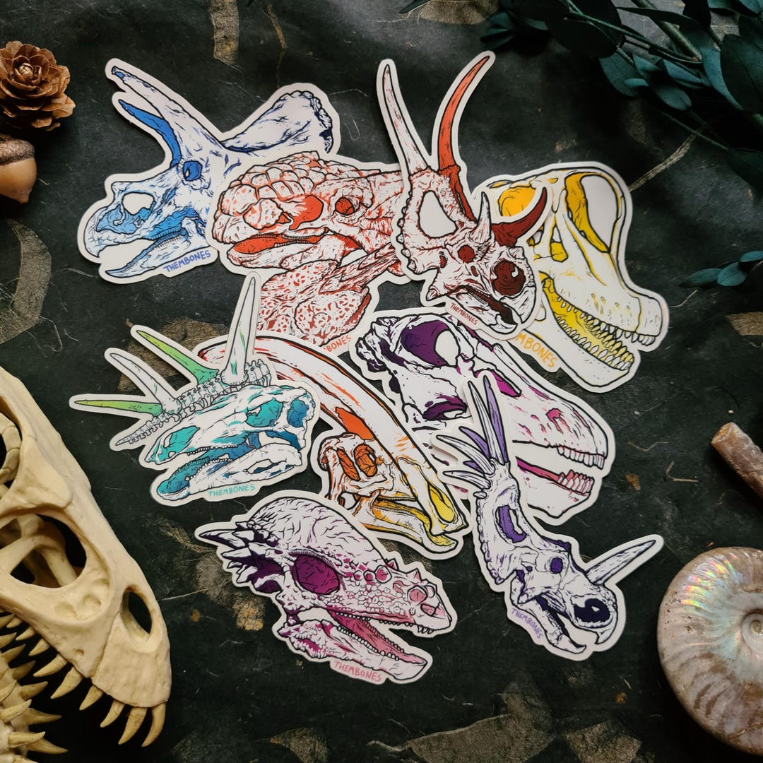 Herbivore Dinosaur Skull Stickers: Clear Vinyl Decals - Etsy
