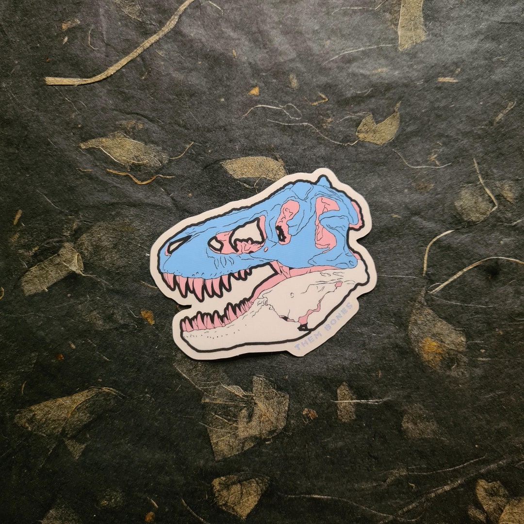 Trans-osaurus Rex Pride Sticker: T-rex Skull Vinyl Decal - Etsy