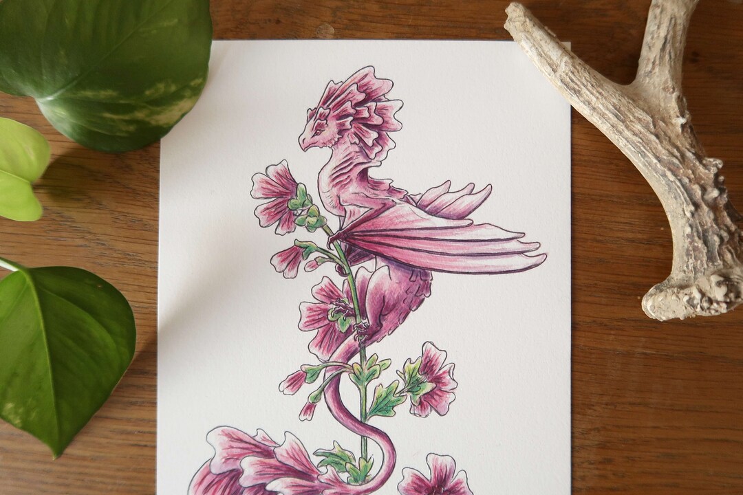 Print A5 or A4 - Common Mallow Dragon - Etsy