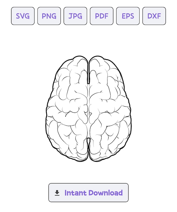 Brain Silhouette SVG Svg Dxf Brain Eps Cricut Brain | Etsy
