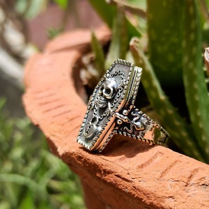 Ghost Rider Posion Ring,925 Sterling Silver Ring, Coffin Poison Ring ...