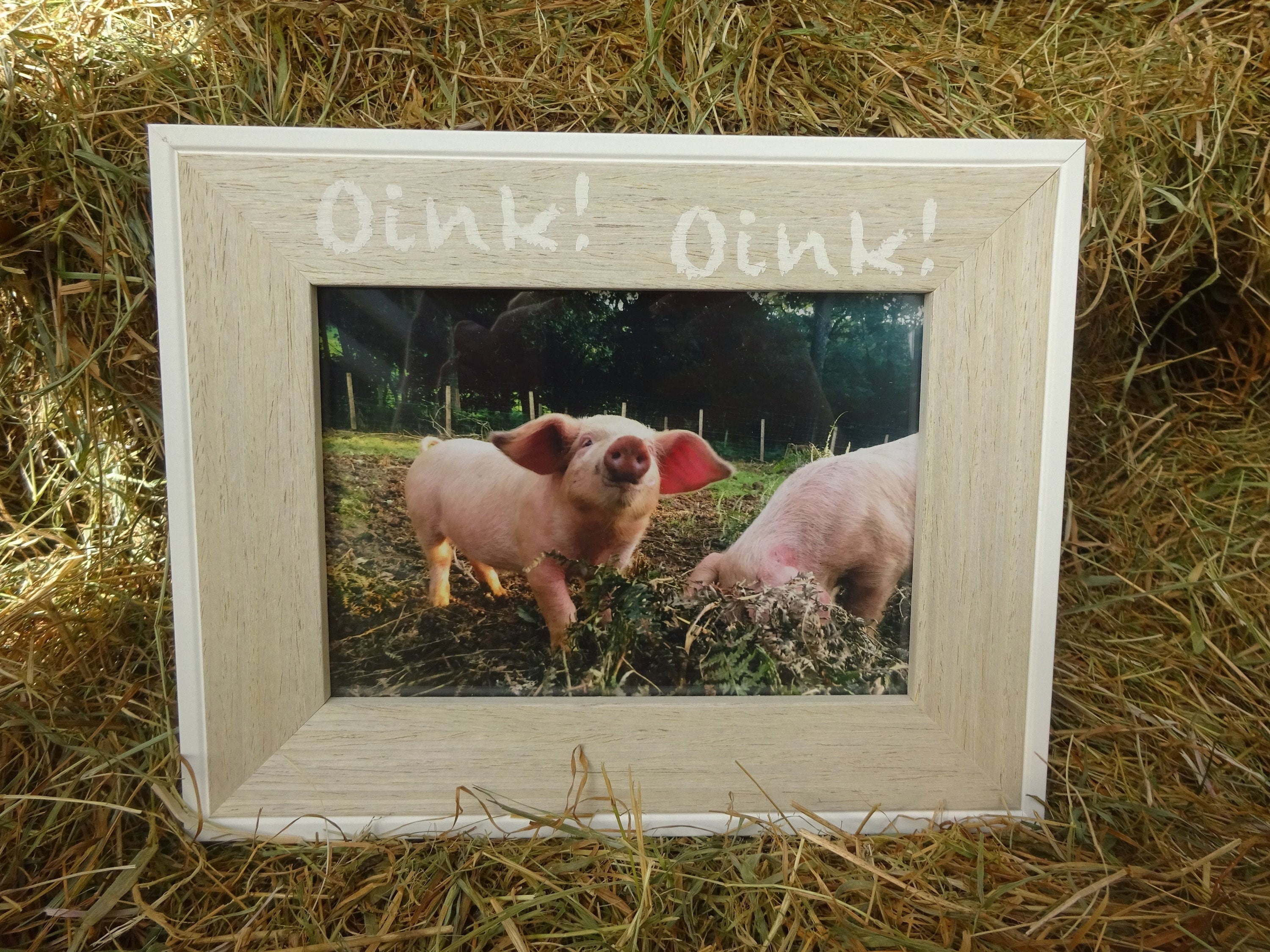 Photo Frame - Pig - Piglet - Gift for a Pig Lover - Gift for a Farmer ...