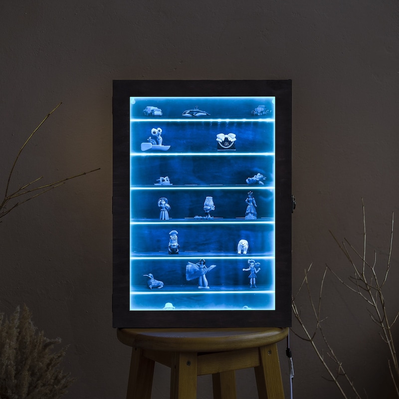 Rock Display Case - Etsy