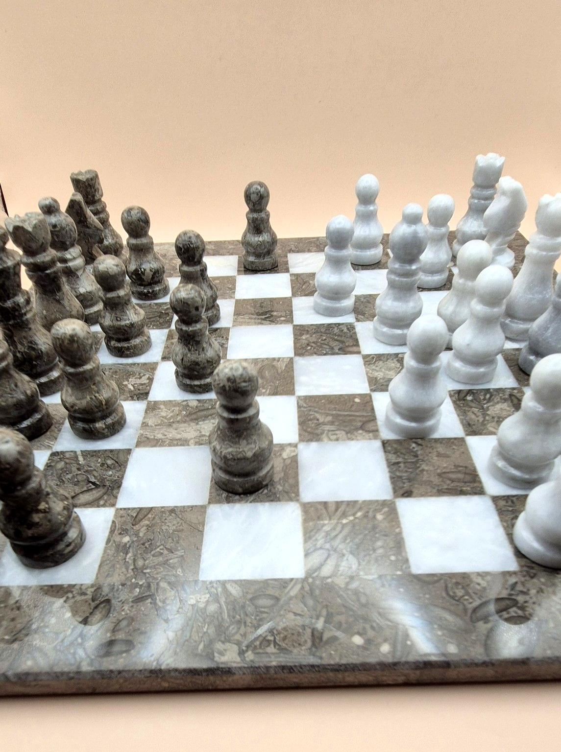 Exquisite Onyx & Marble Chess Set: Handcrafted Fossil Coral Pieces on ...