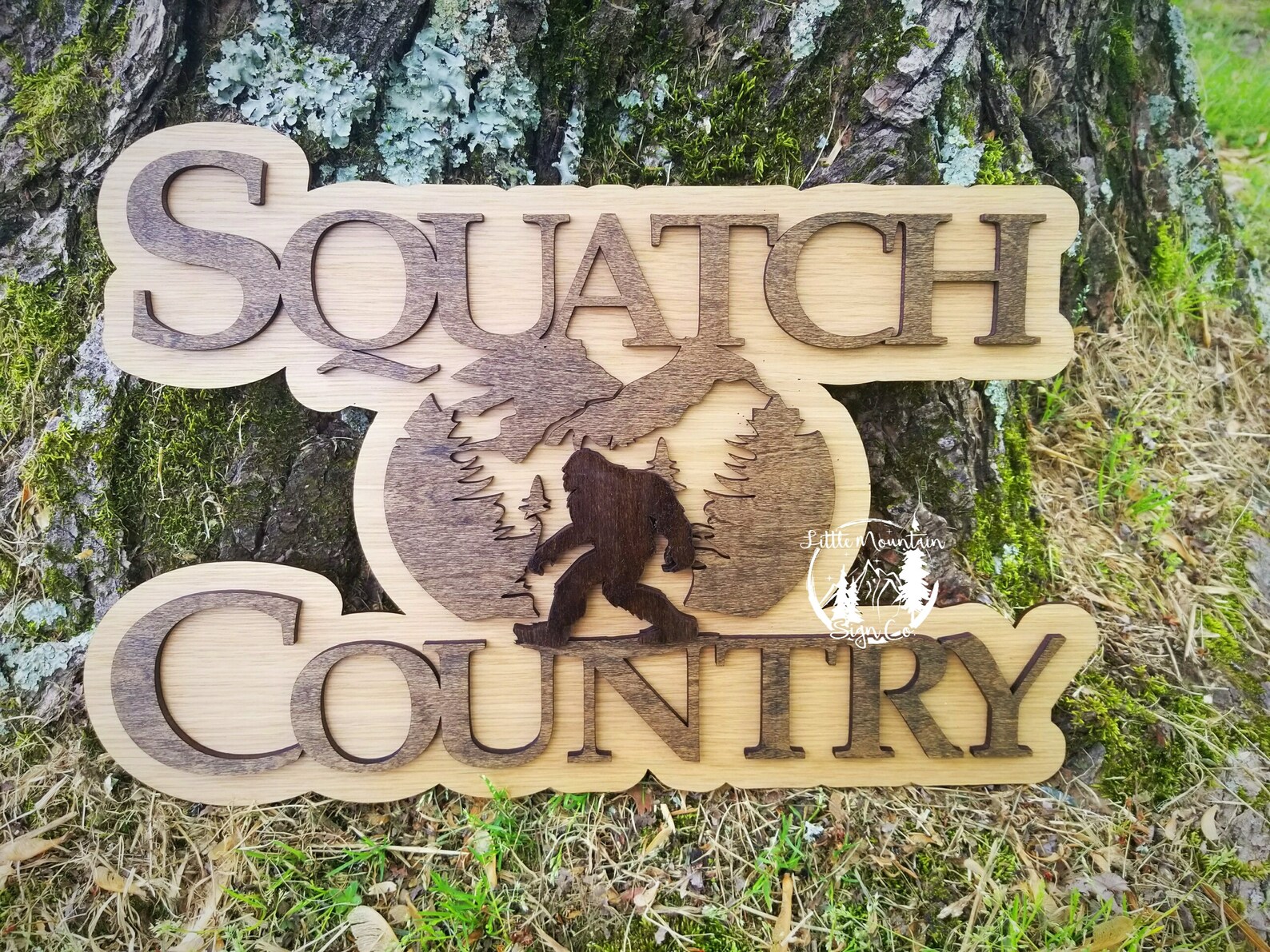 Squatch Country Wood Sign, Sasquatch Themed Sign, Sasquatch Wood Sign ...