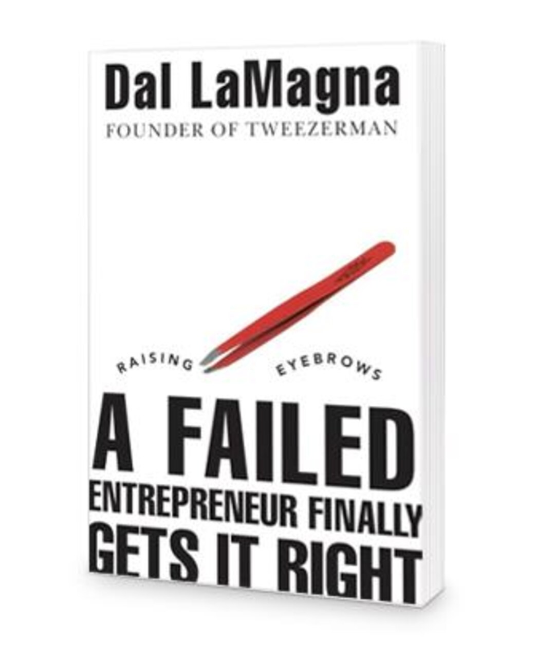 Raising Eyebrows A Failed Entrepreneur Finally Gets It Right