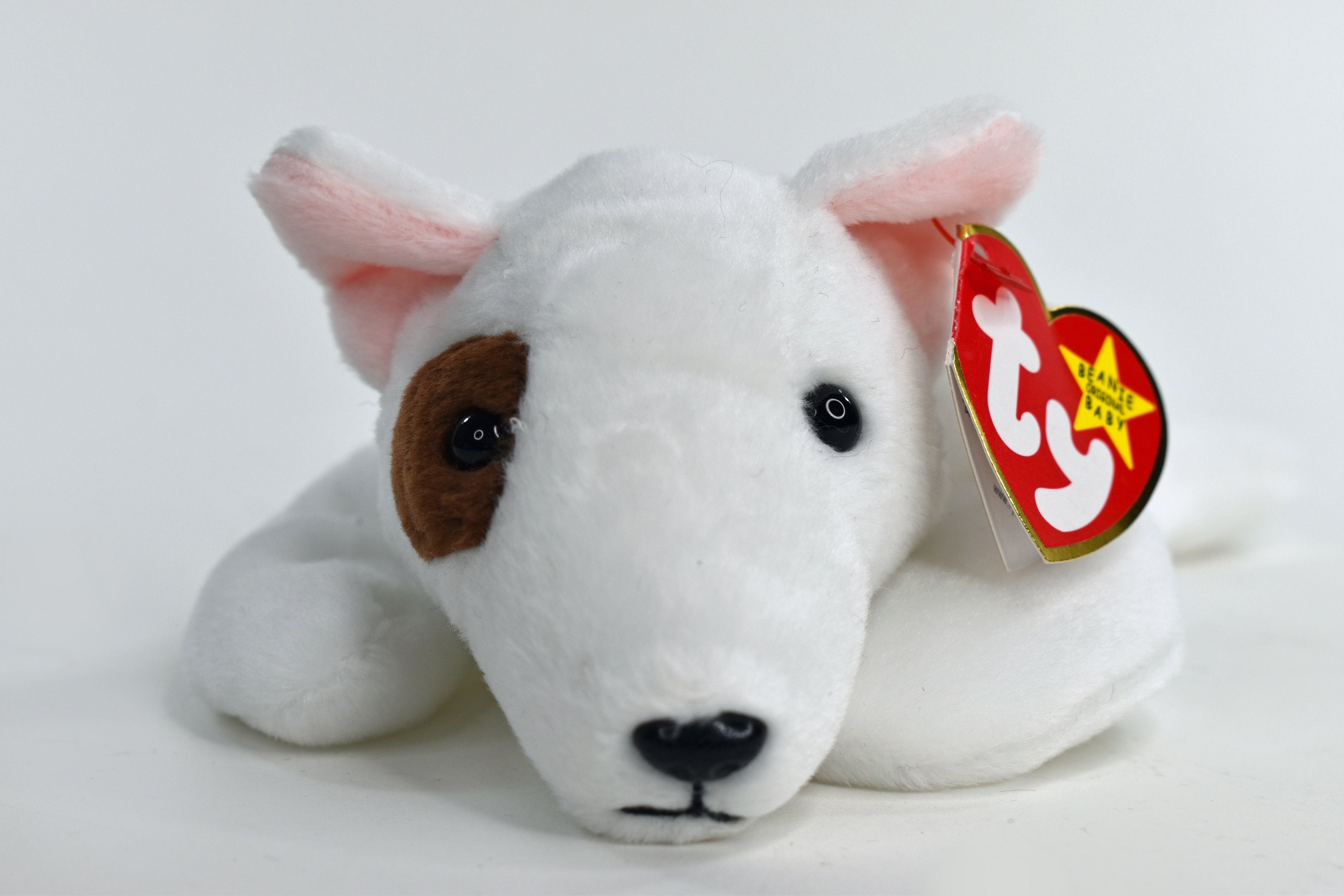 TY Beanie Baby DOGS - Your Choice! Buy 2 Get 1 Free! Gigi, Butch ...