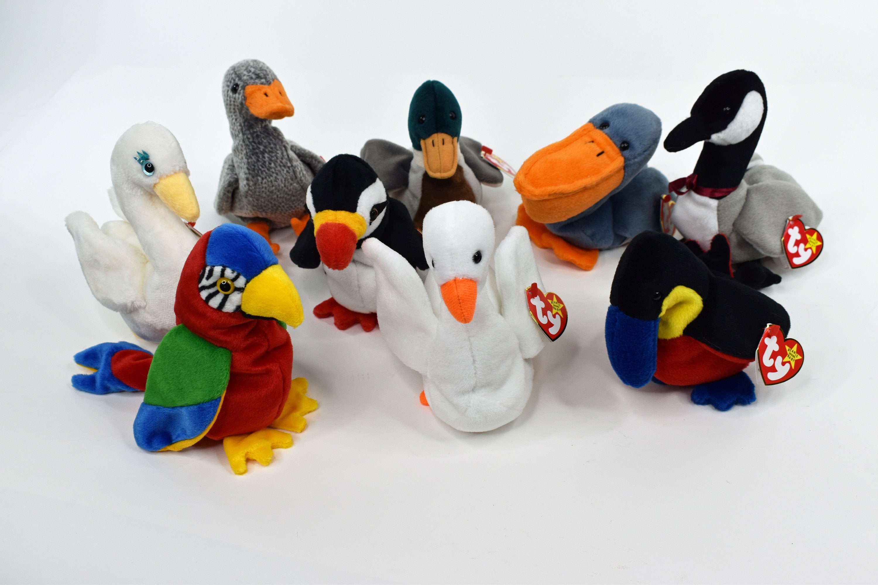 TY Beanie Baby BIRDS - Buy 2 Get 1 Free! Gracie, Loosy, Jabber, Goddess ...