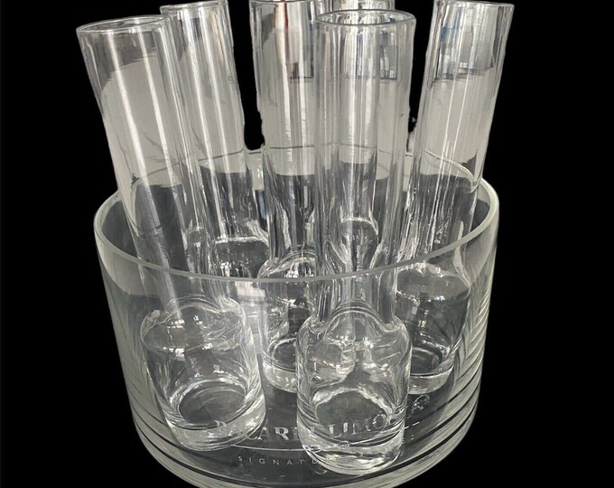 Set of 6 Crystal Vodka Tall Shot Glasses and Chiller Bucket. Bacardi ...