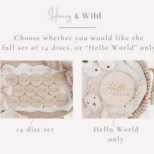 Baby Milestone Disc Set | Hello World Milestone Cards | Newborn Gift ...