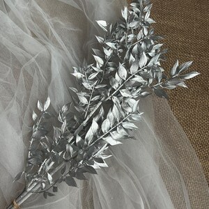 Preserved Dried Italian Ruscus Silver Leaves, Silver Leaf Decoration - Etsy