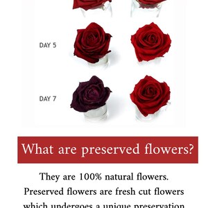 Handmade Red Floral Drop Earring UK Dry Flower Earrings Gold - Etsy