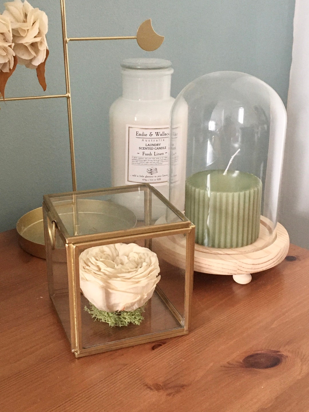 Preserved Ivory Rose in Glass Box: Eternal Flower Arrangement - Etsy