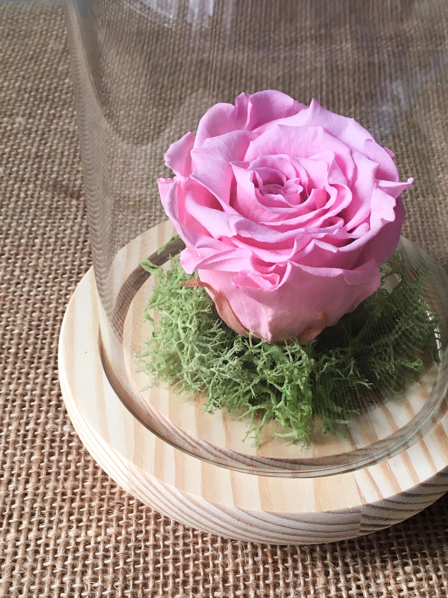 Everlasting Rose In Glass Jar Pink Roses Birthday Gift For | Etsy