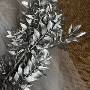 Preserved Dried Italian Ruscus Silver Leaves, Silver Leaf Decoration - Etsy