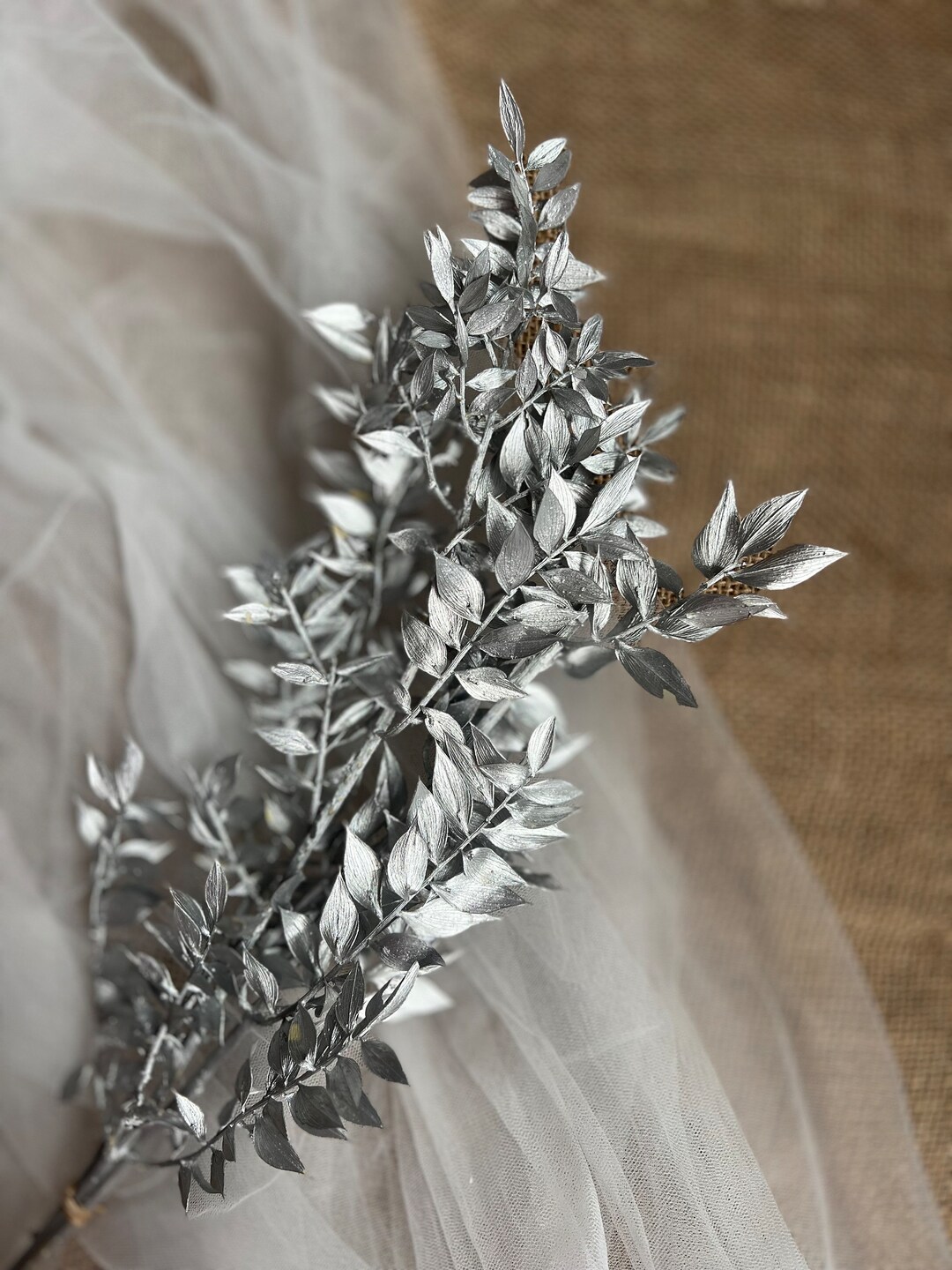 Preserved Dried Italian Ruscus Silver Leaves, Silver Leaf Decoration - Etsy