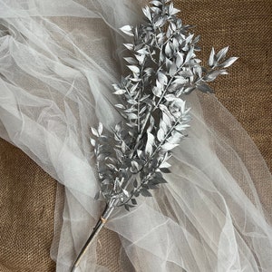 Preserved Dried Italian Ruscus Silver Leaves, Silver Leaf Decoration - Etsy