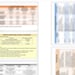 Anesthesia Badge/flash Cards - DIGITAL - Etsy