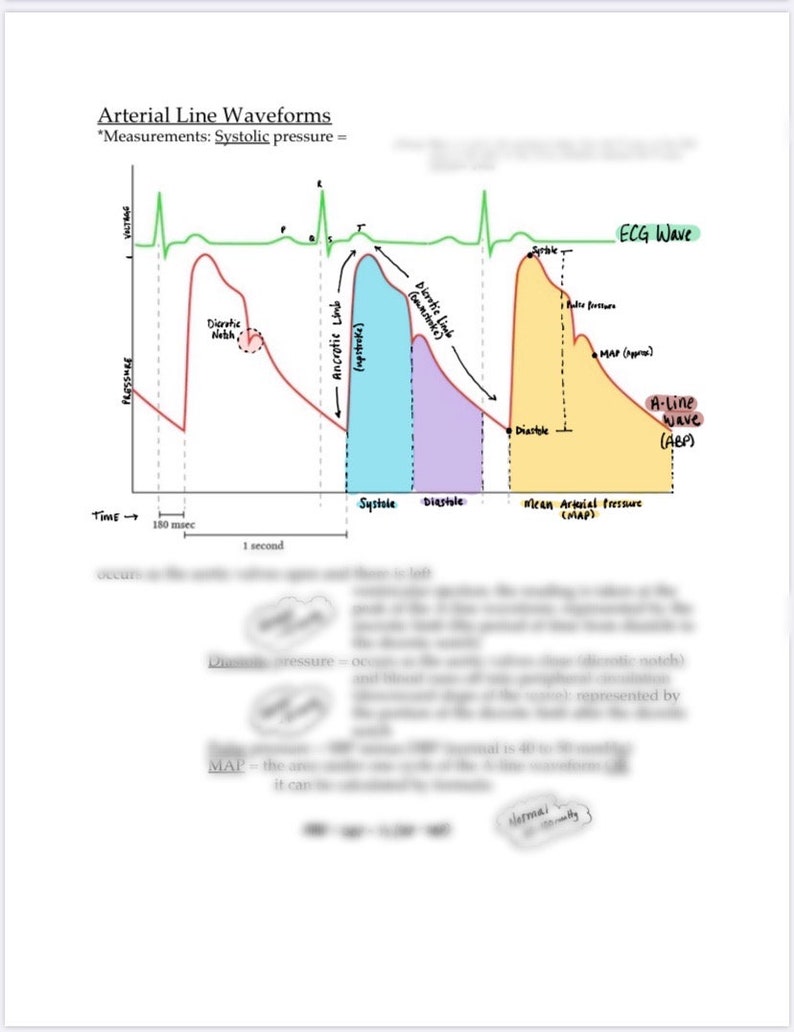 Hemodynamic Study Guide Part 1 Version 2 DIGITAL - Etsy