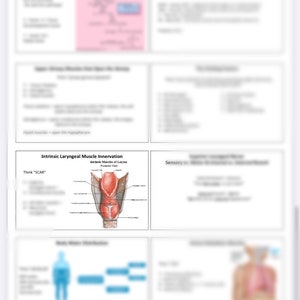 CRNA School Mnemonic Cards - Anatomy & Physiology - Etsy UK