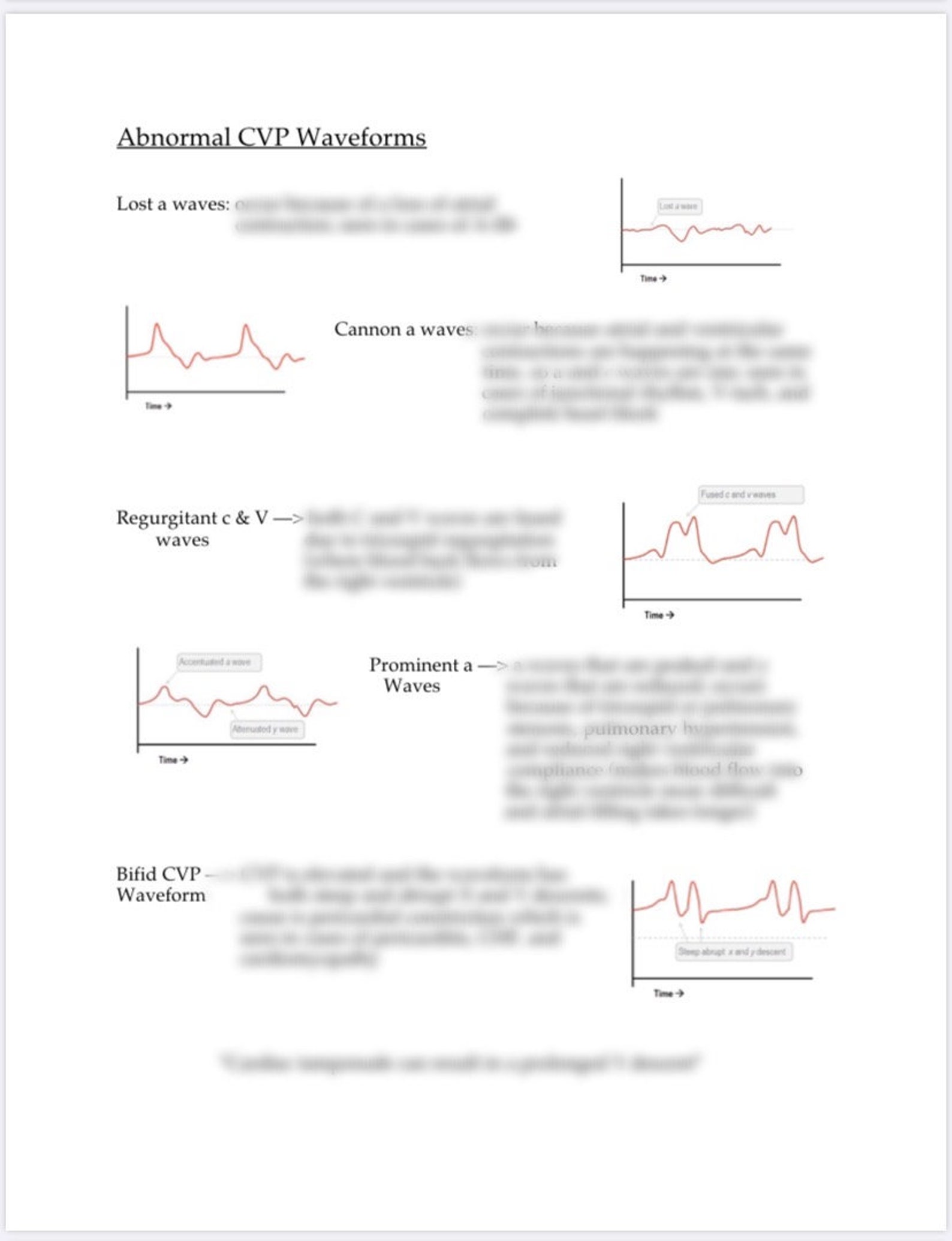 Hemodynamic Study Guide Part 1 Version 2 DIGITAL - Etsy