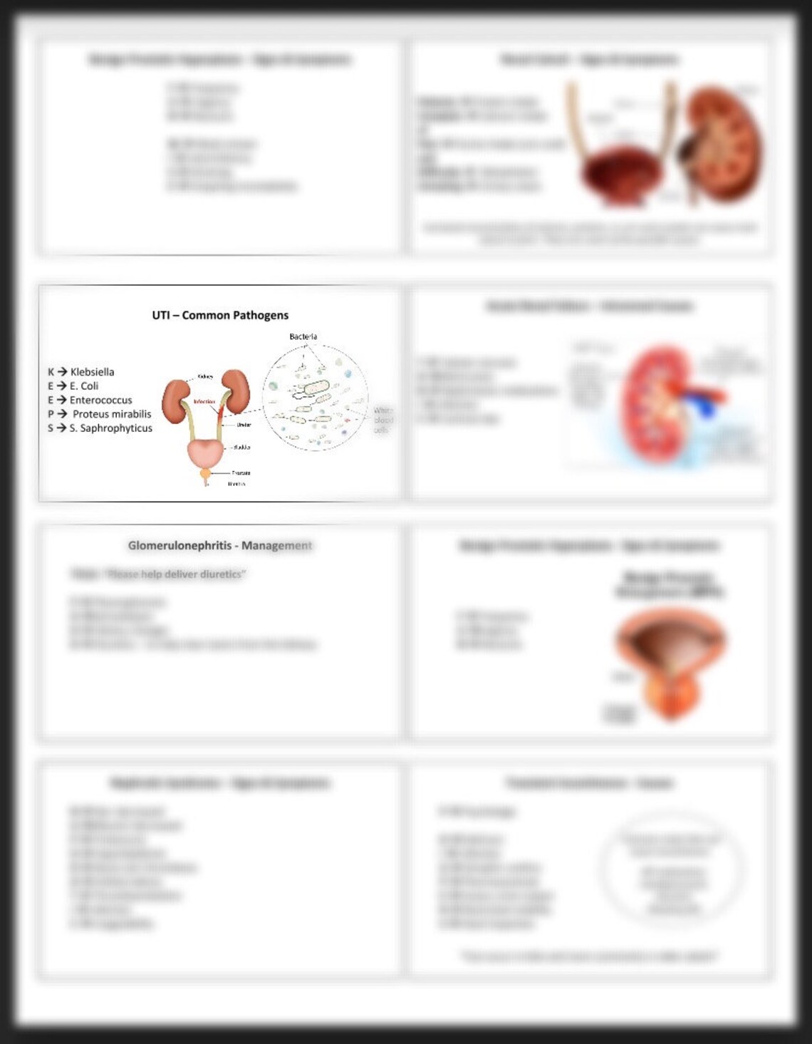 Genitourinary System Mnemonic Cards DIGITAL - Etsy