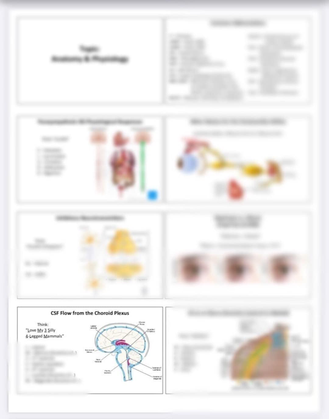 CRNA School Mnemonic Cards - Anatomy & Physiology - Etsy UK