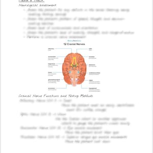 Head-to-toe Expanded Health Assessment Study Guide DIGITAL - Etsy