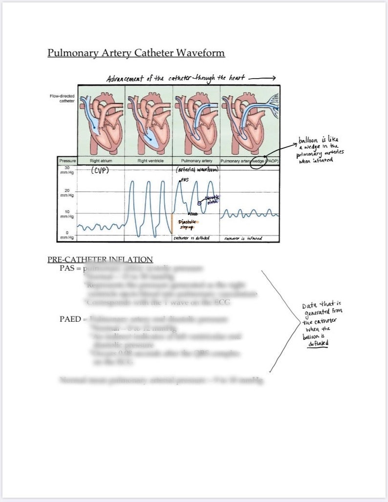 Hemodynamic Study Guide Part 1 Version 2 DIGITAL - Etsy