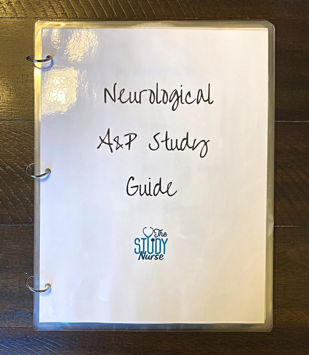 Neuro A&P Study Guide - Etsy