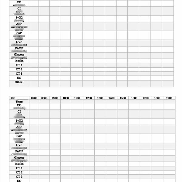 Nursing Flow Sheet - Etsy