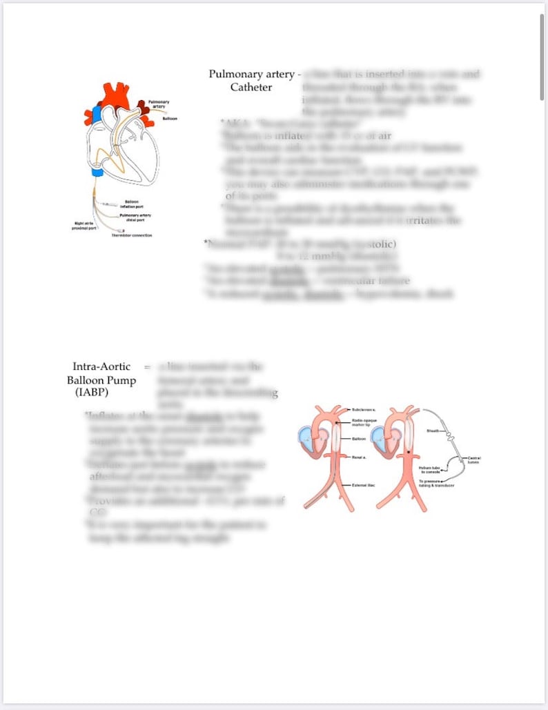 Hemodynamic Study Guide Part 1 Version 2 DIGITAL - Etsy