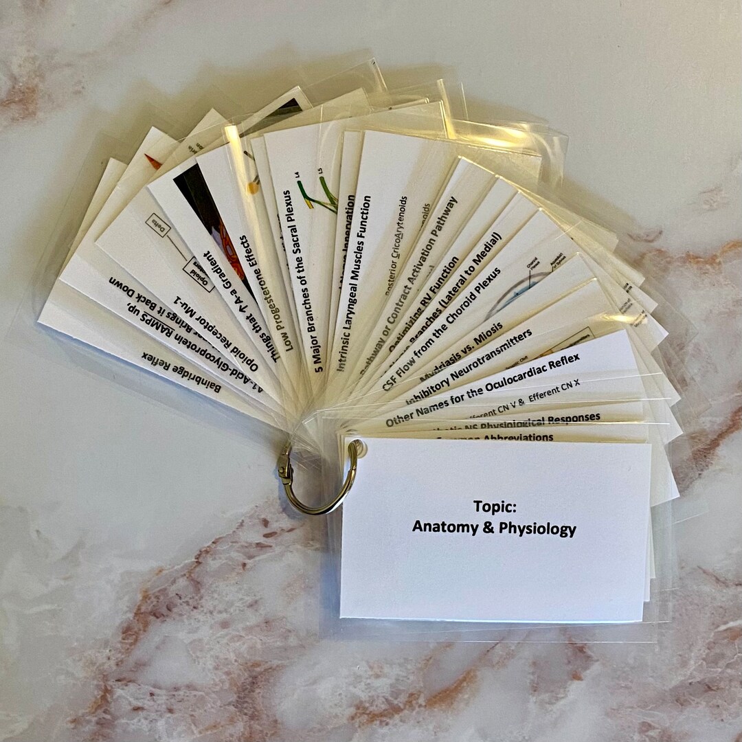 CRNA School Mnemonic Cards - Anatomy & Physiology - Etsy UK