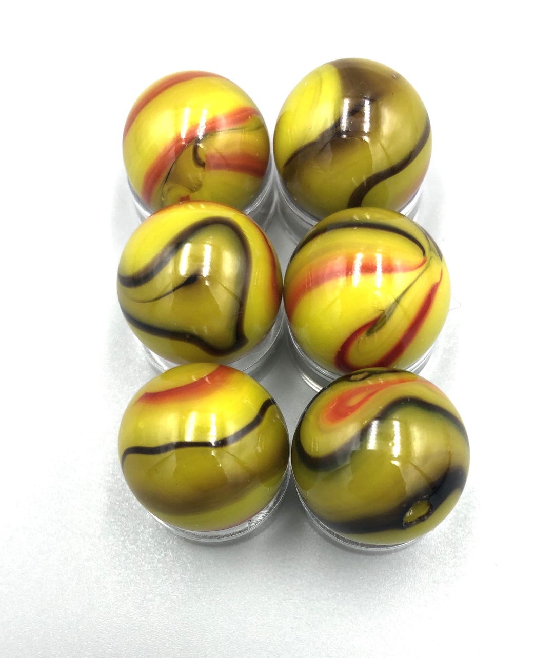 6 Vacor triceratops Retired Marble for Collectors in a Gift Box - Etsy