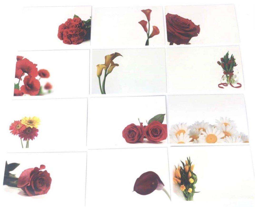 Shredastic® Red - Floristry Flower Cards Variety Pack (pack of 12 ...