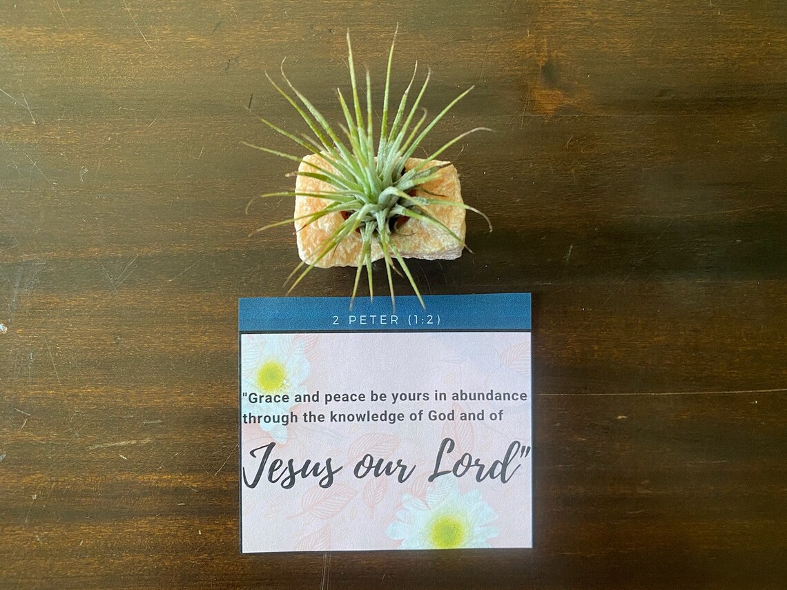 Grace Scripture Cards Printable PDF File Instant Download Digital ...