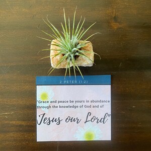 Grace Scripture Cards - Printable PDF File - Instant Download - Digital ...