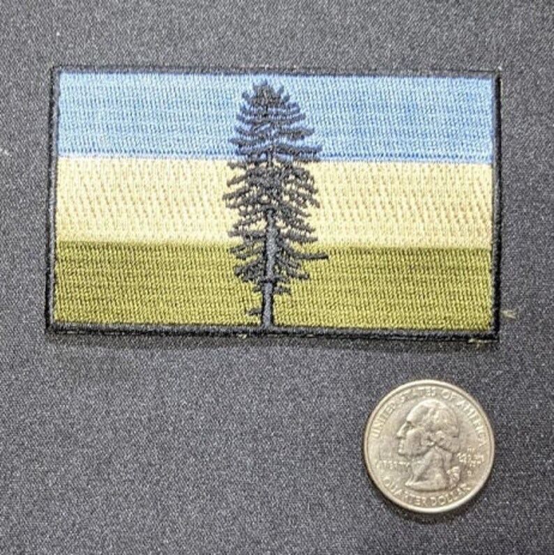 Cascadia Subdued Flag Patch - Etsy
