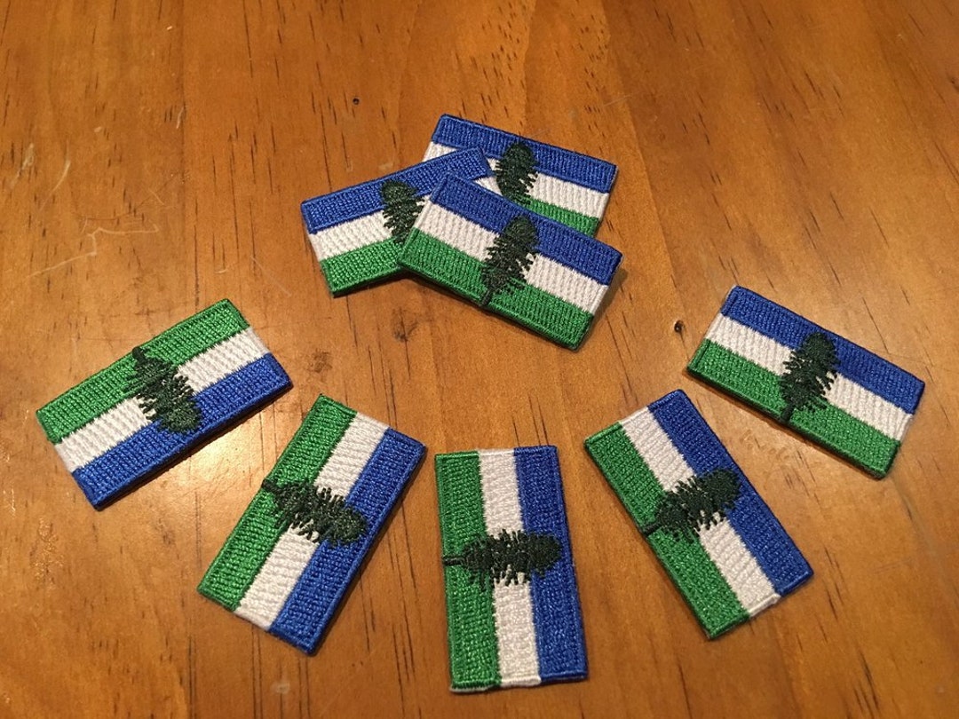 MICRO Doug Flag Patches - Etsy